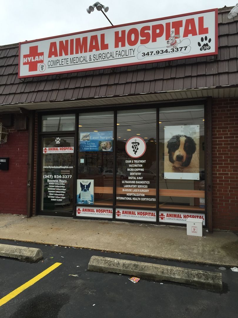 Hylan Animal Hospital in Staten Island, Ветеринария в США — SVOI.us